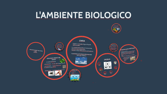 L'AMBIENTE BIOLOGICO by Gabriele Schmid on Prezi