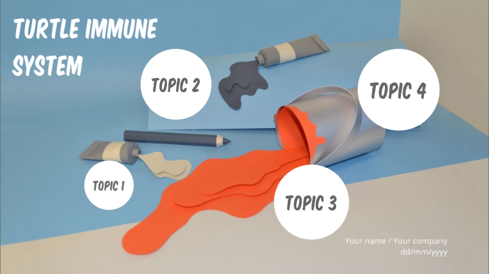 turtle immune system by afiqah usri on Prezi