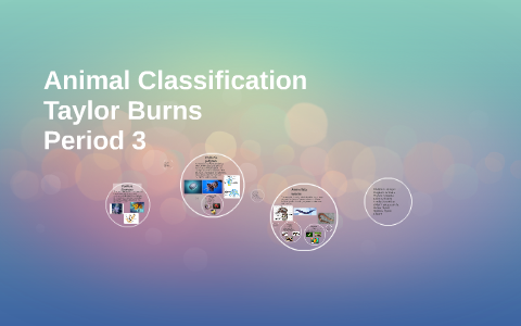 Animal Classification by Taylor Nicole