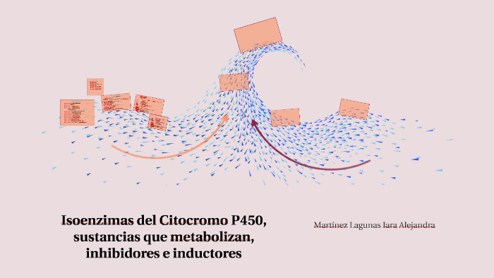 Isoenzimas del Citocromo P450, sustancias que metabolizan, i by on Prezi