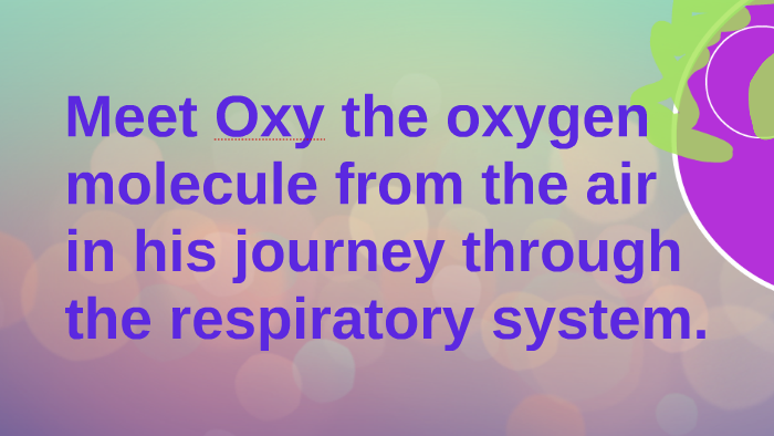 Oxy the oxygen molecule's journey through the respiratory system by ...