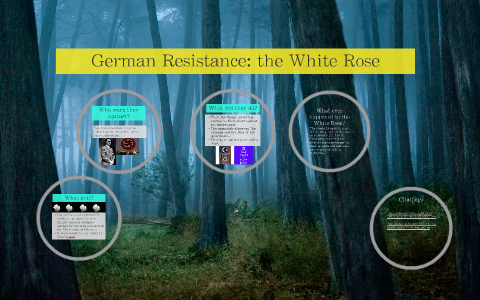 German Resistance: the White Rose by Jennifer Flete on Prezi