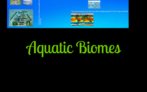 Aquatic Biomes by Jojo Warren on Prezi