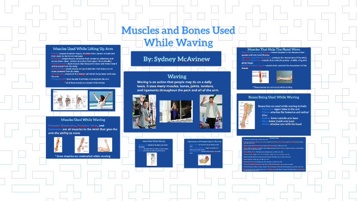 Muscles Used While Waving by on Prezi