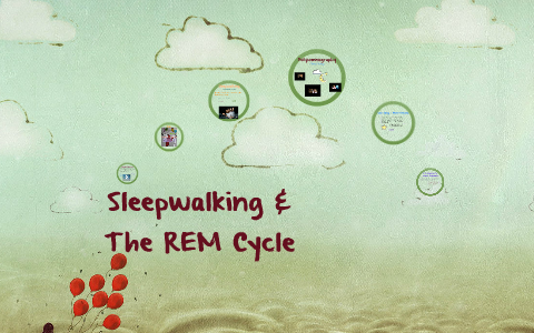 Sleepwalking & The REM Cycle by Lauren Hubbs on Prezi