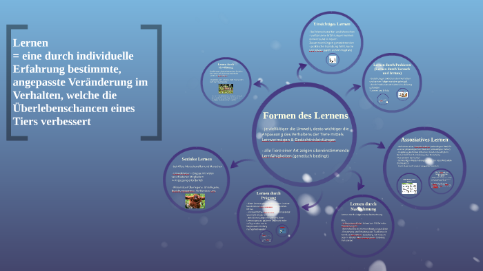 Formen des Lernens by Rot Kohl