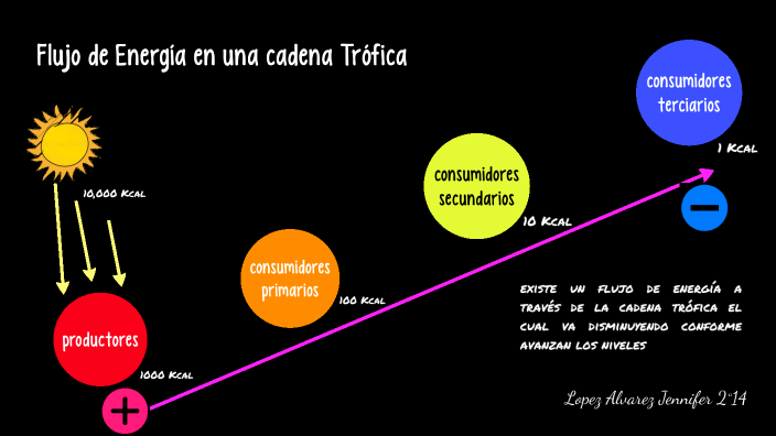 Flujo de Energía en una cadena Trófica by JENNIFER LOPEZ ALVAREZ on Prezi