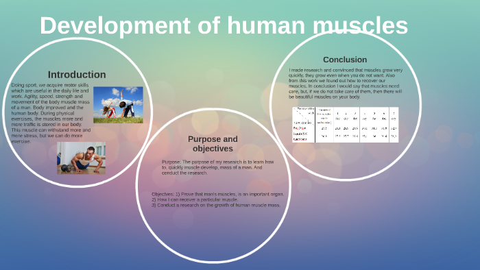 Development of human muscles by Даниил Даниил on Prezi