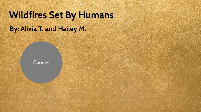 forest fires by Hailey McMullen on Prezi