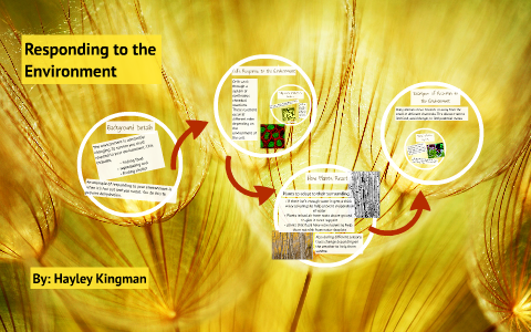 Living Things Respond to Their Environment by Sarah Boggia on Prezi