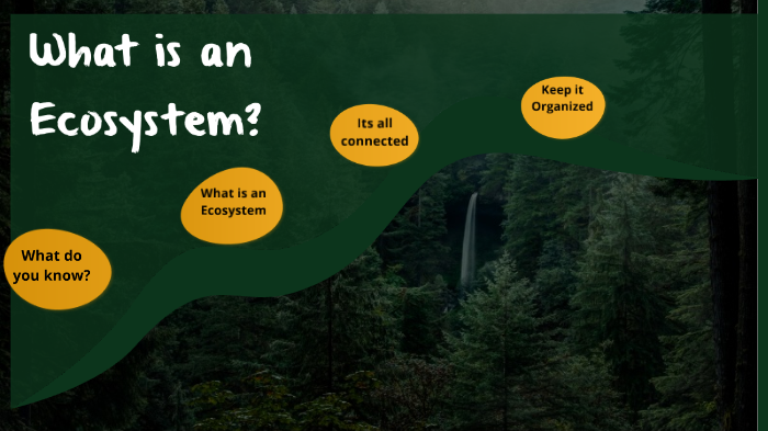 Balance in an Ecosystem by Yvette Cribb on Prezi