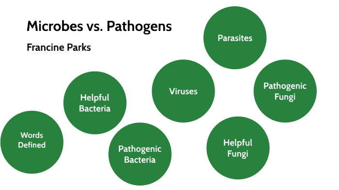 Pathogens vs. Microbes by Francine Parks on Prezi