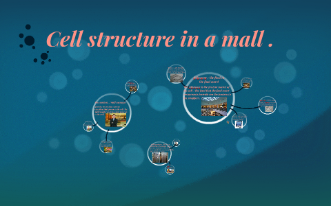 Cell structure in a mall . by Brianna Swinson