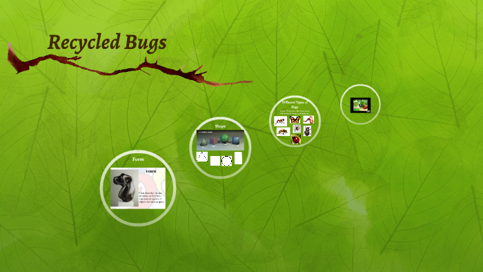 Recycled Bugs by Kaitlyn Shealy on Prezi