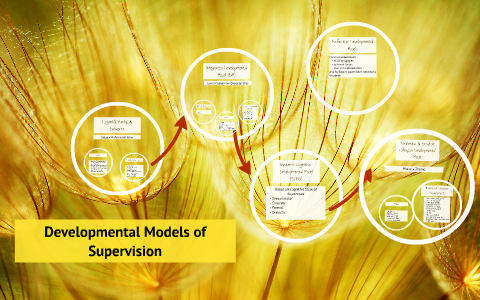 Developmental Models of Supervision by Laura Maggio on Prezi