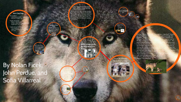Who's Afraid of the Big Bad Wolf Project by Sofia Villarreal on Prezi