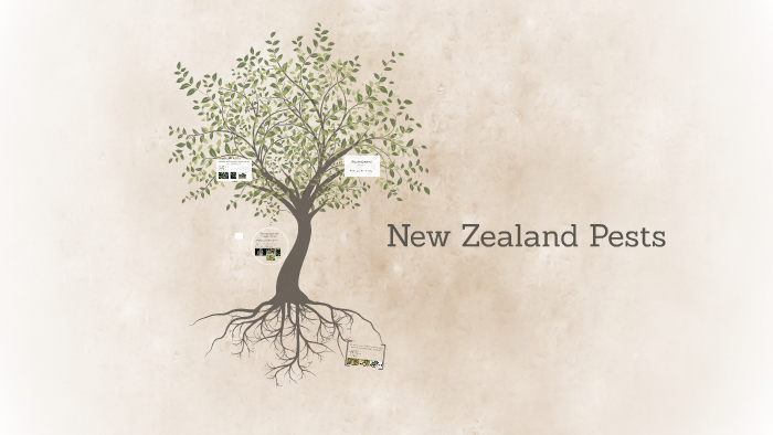New Zealand Pests by grace melville on Prezi