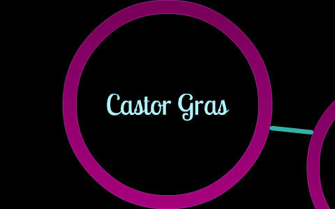 Castor Gras And Castor Sec by valerie kalotai on Prezi