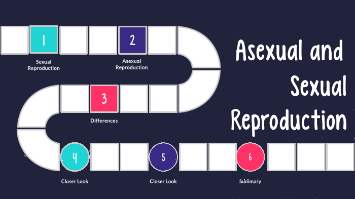 Asexual and Sexual Reproduction Project by Annaliese Palmer-Student on ...