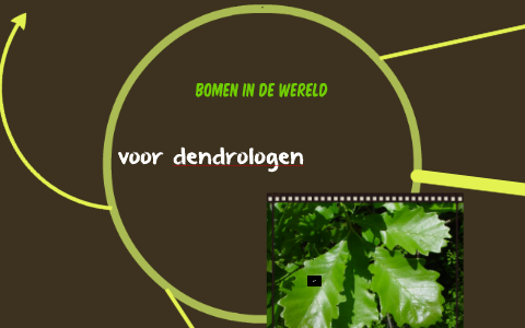Naamgeving van planten by P Vereecke on Prezi