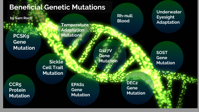 beneficial genetic mutations by Sam Roch on Prezi