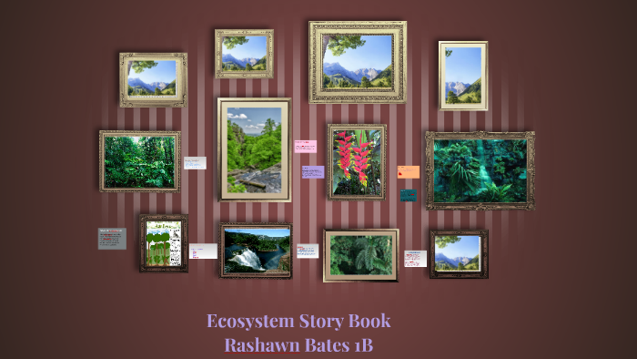 Ecosystem Story Book by Rashawn Bates on Prezi