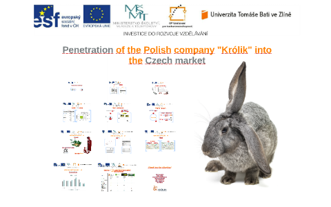 Penetration of the Polish company "Królik" into the Czech ma by Halya ...
