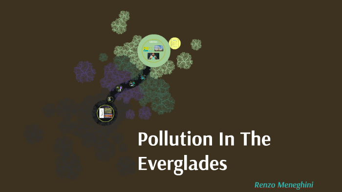 Everglades Pollution by Renzo Meneghini on Prezi