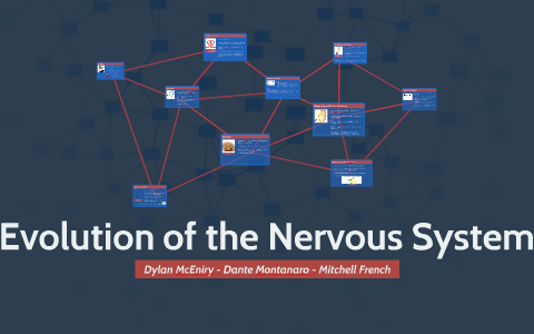 Evolution of the Nervous System by Dylan McEniry on Prezi