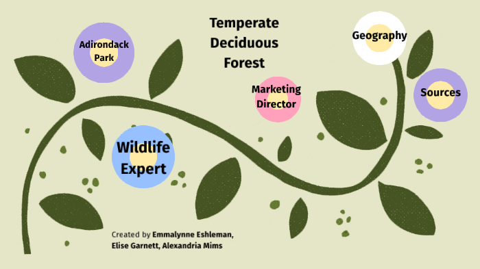 Temperate Deciduous Forest by Emmalynne Eshleman on Prezi
