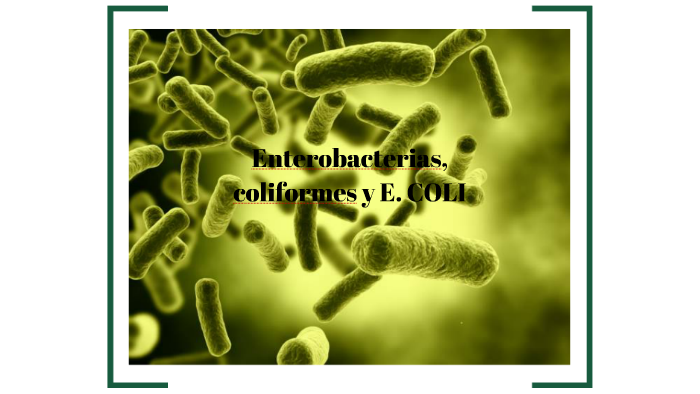 enterobacterias, coliformes y E. COLI by Lucía Brelis on Prezi