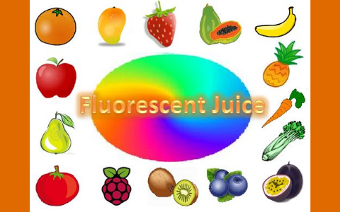 fresh connection powerpoint by Kiki Brouns on Prezi