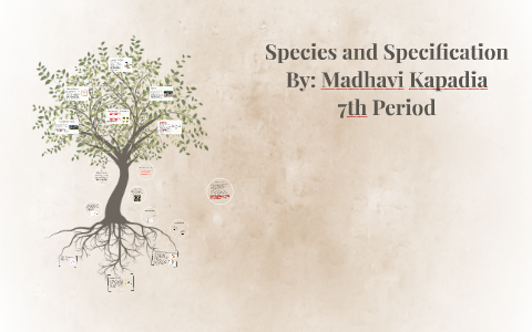 Species and Specification by Madhavi Kapadia on Prezi