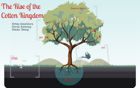 The Rise of the Cotton Kingdom by Derek Sonntag on Prezi