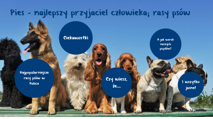 Rasy psów by Dupa Wkorach on Prezi