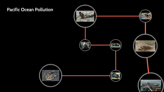 Pacific Ocean Pollution by Andrew McCullen on Prezi