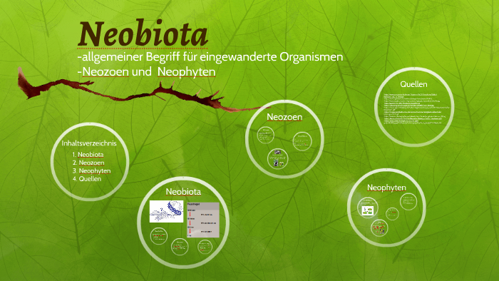 Neobiota by Jenna Mei on Prezi