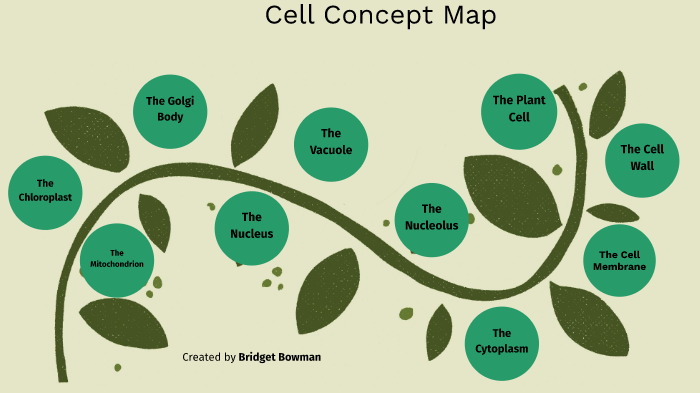 Cell Concept Map by Bridget Bowman on Prezi