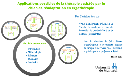 Applications possibles de la thérapie assistée par le chien de ...