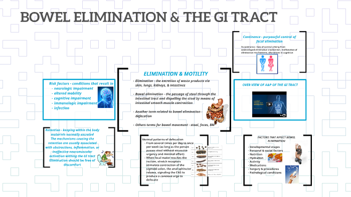 BOWEL ELIMINATION & THE GI TRACT by Natalie Salgado on Prezi