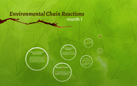 Environmental Chain Reactions by Abbey Loar on Prezi