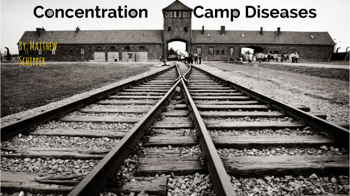 Concentration Camp Diseases by Matthew Schipper on Prezi