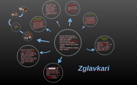 Zglavkari by Viktor markovic on Prezi