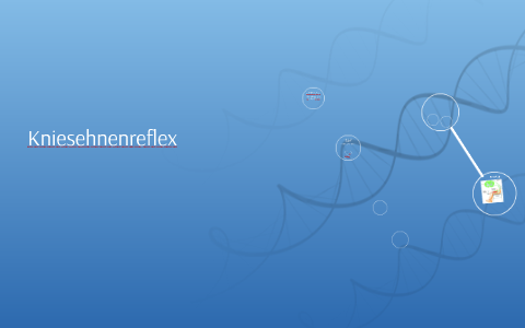 Kniesehnenreflex by Mareike Harms on Prezi