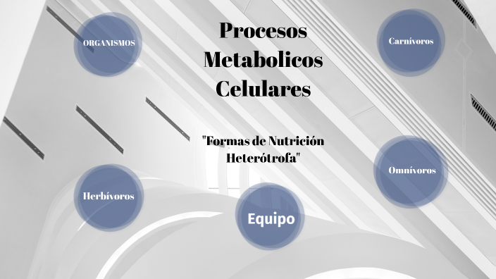 Procesos metabólicos Celulares by Lesly Gonzalez on Prezi