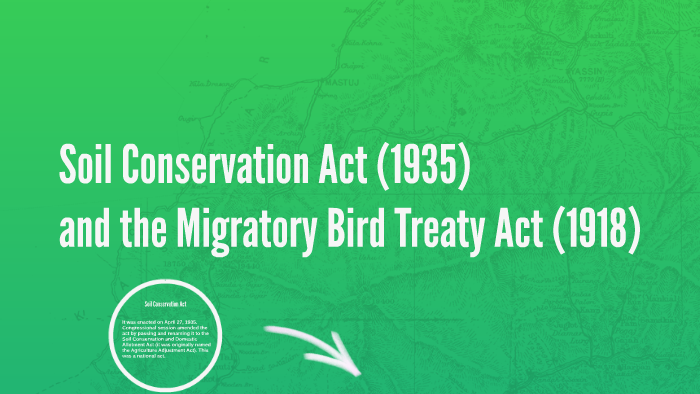 Soil Conservation Act and Migratory Bird Treaty Act by alex chavez on Prezi