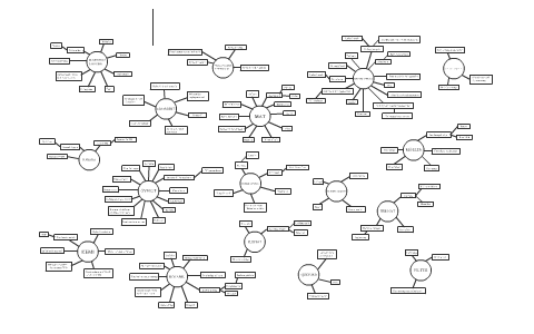 Mind map by Jimmy Edman on Prezi