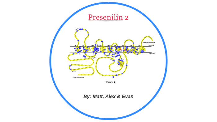 Presenilin 2 by evan neuman on Prezi