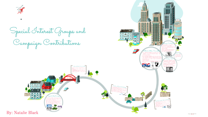 Special Interest Groups and Campaign Contributions by Natalie Black on ...