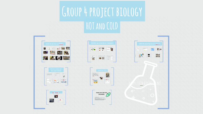 Group 4 project biology by Kasia Łakomska Lbc